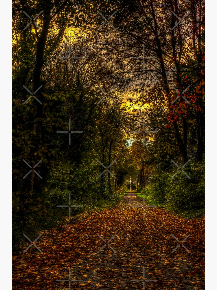 "An Autumn Countryside Walk" Sticker by axp7884 | Redbubble