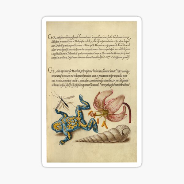 "Naturalist Manuscript: Flowers, Frog and Calligraphy Illumination by ...