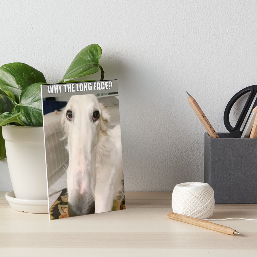 "Why The Long Face? - Meme" Art Board Print by NotaHorse | Redbubble