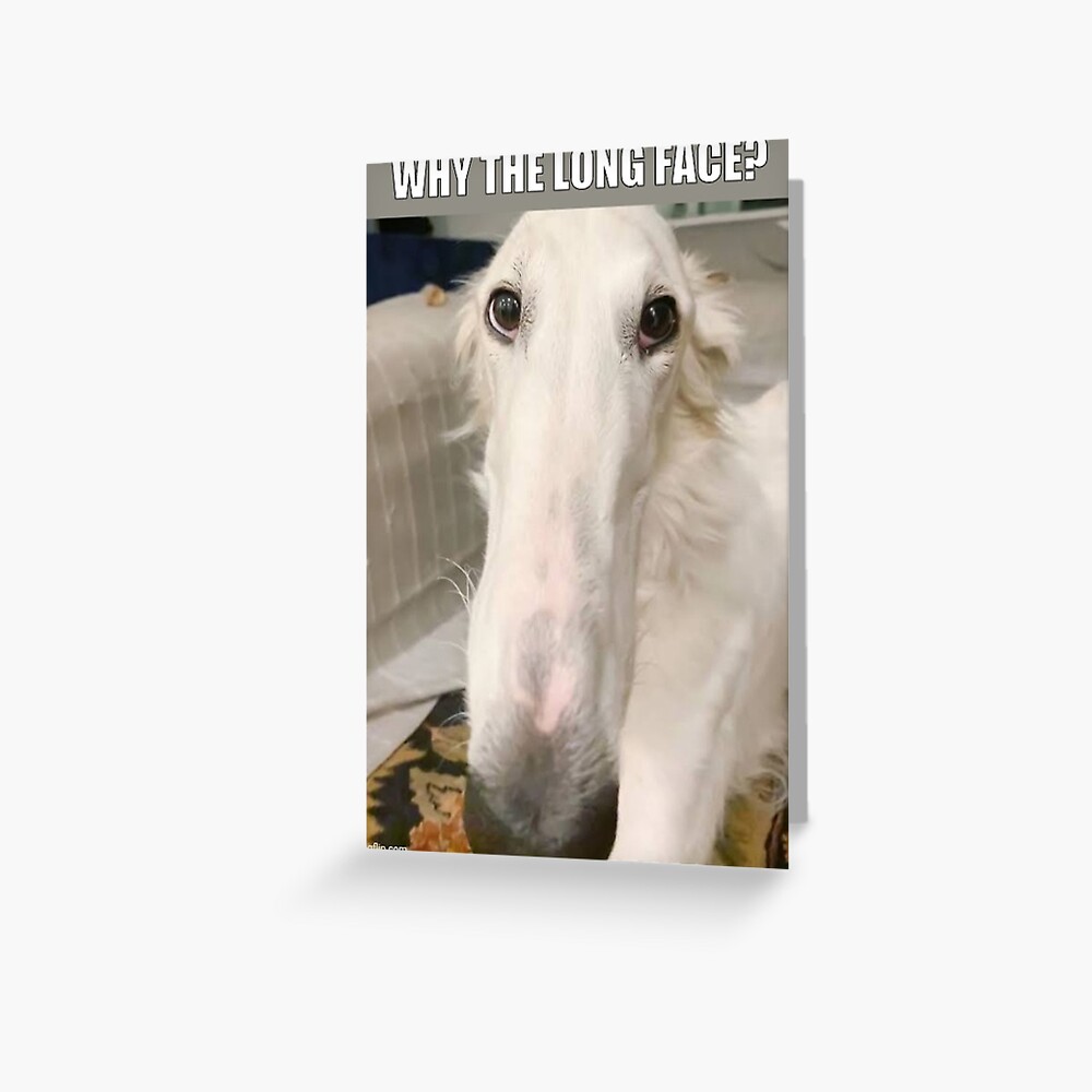 "Why The Long Face? - Meme" Greeting Card by NotaHorse | Redbubble