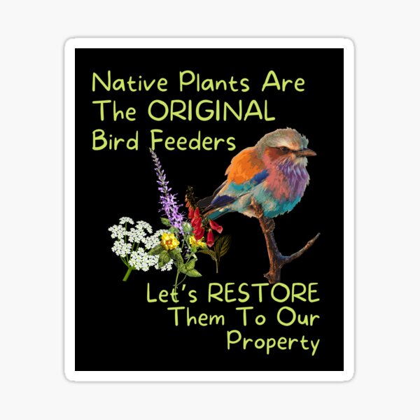 "Native Plants Are The Original Bird Feeder Design" Sticker for Sale by ...