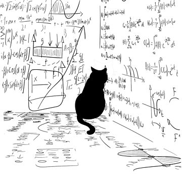 "Cat Math Calculations" Poster for Sale by SassieGabbie | Redbubble