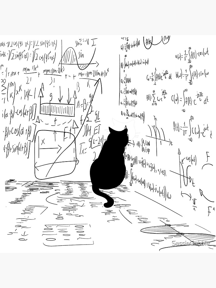 "Cat Math Calculations" Sticker for Sale by SassieGabbie | Redbubble