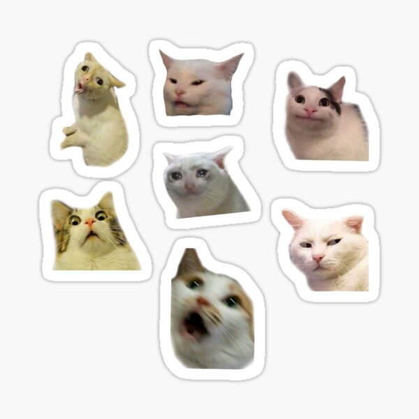 "Funny cat meme pack of stickers|meme cats|" Sticker for Sale by ...