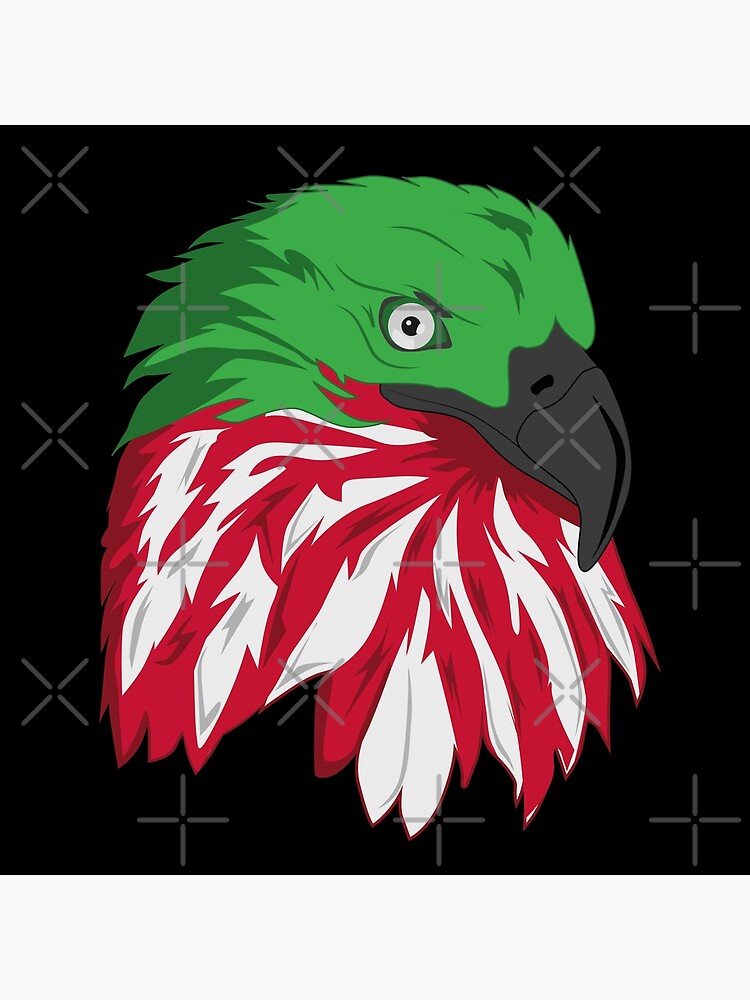 "UAE flag eagle - Dark edition" Poster for Sale by sebettina95 | Redbubble