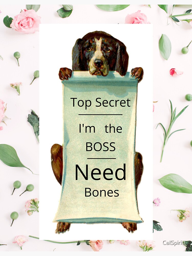 "Top Secret Dog" Sticker by CalSpirit1 | Redbubble