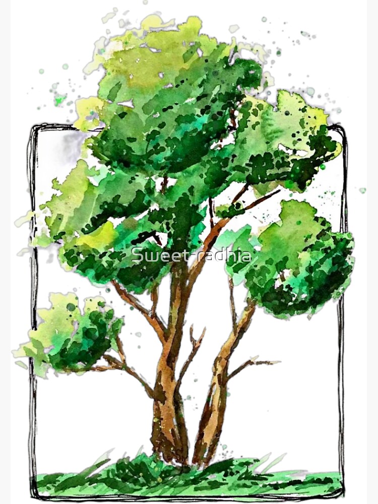 Imán «Todo lo que me gustaba hacer cuando era niño era dibujar. Mi ...