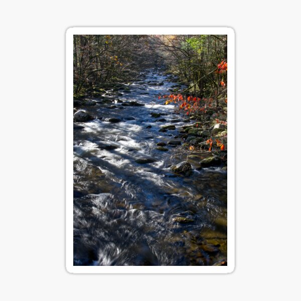 "Middle Prong Little River 12" Sticker for Sale by perkinsdesigns ...