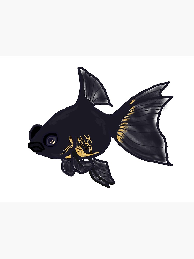 "Black Popeye Goldfish " Art Print by AquariumVibezz | Redbubble