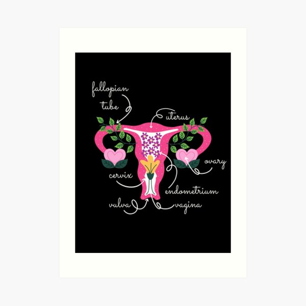"Female Anatomy, Know Your Vagina" Art Print for Sale by rosendosen ...