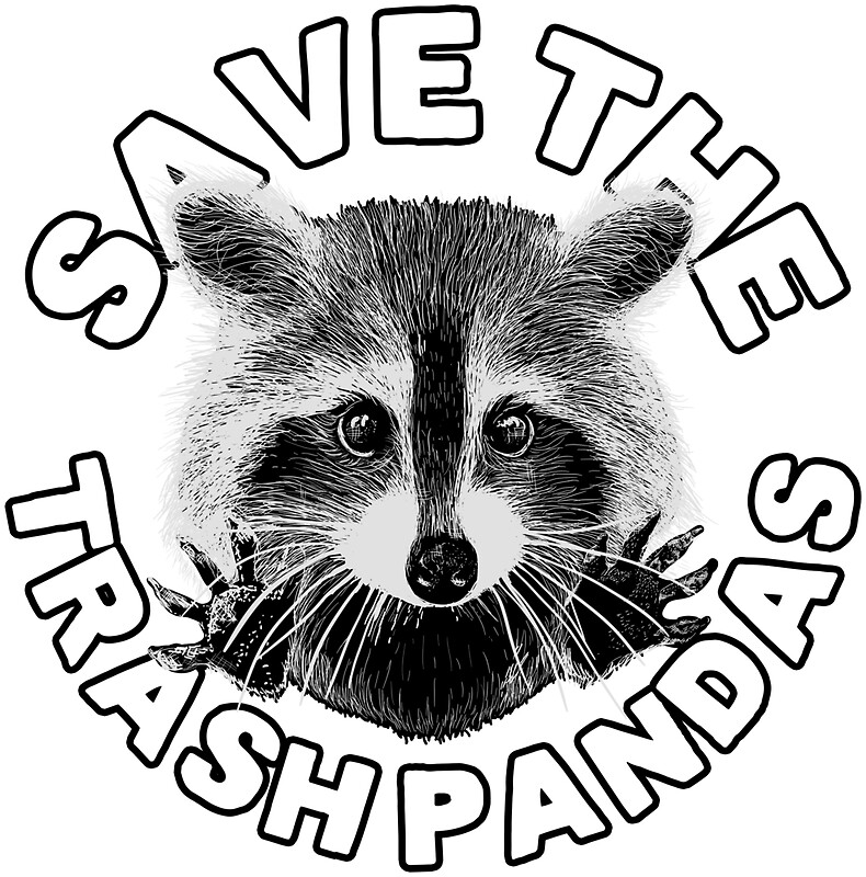 Trash Panda: Stickers | Redbubble