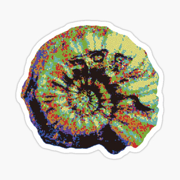 "Encrypted Ammonite" Sticker for Sale by Yaukan | Redbubble