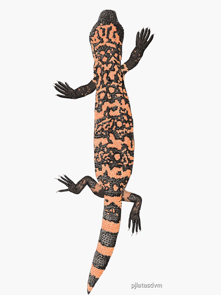 "Gila Monster" Sticker for Sale by pjlatasdvm | Redbubble