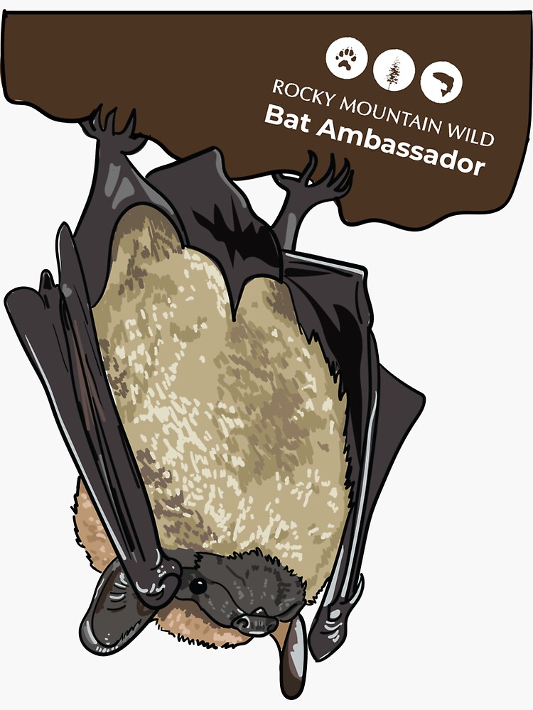 "Rocky Mountain Wild Bat Ambassador" Sticker by RockyMtWild | Redbubble