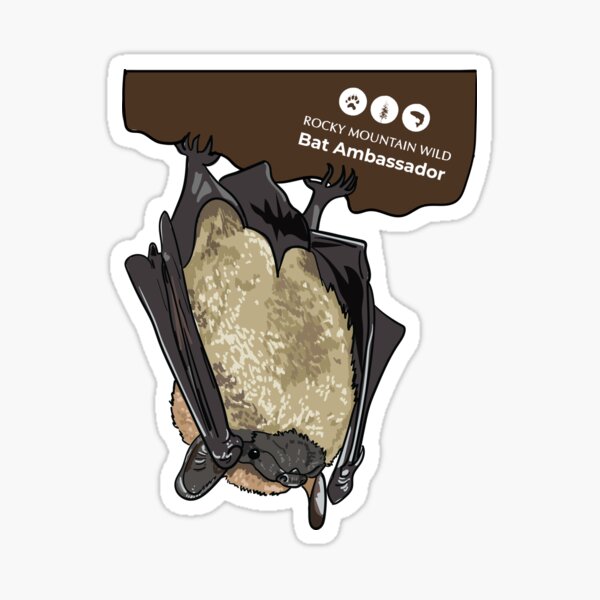 "Rocky Mountain Wild Bat Ambassador" Sticker by RockyMtWild | Redbubble
