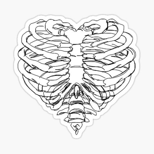 "Rib Cage" Sticker by amaheadley | Redbubble