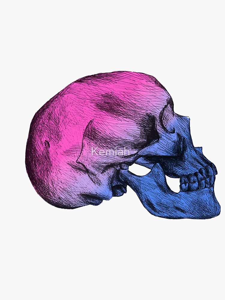 "Discreet Bisexual Pride Human Skull" Sticker for Sale by kezzzah | Redbubble