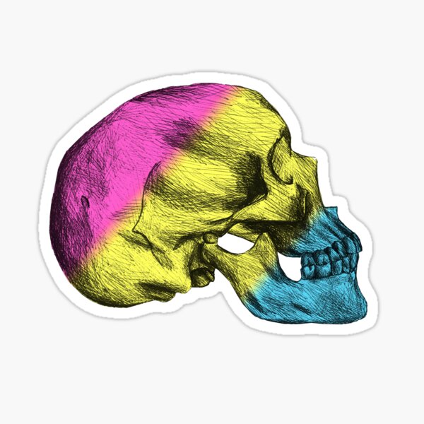 "Discreet Pansexual Pride Human Skull" Sticker by kezzzah | Redbubble