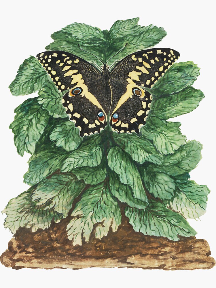 "Butterfly on a Bush Drawing" Sticker for Sale by alienelle | Redbubble