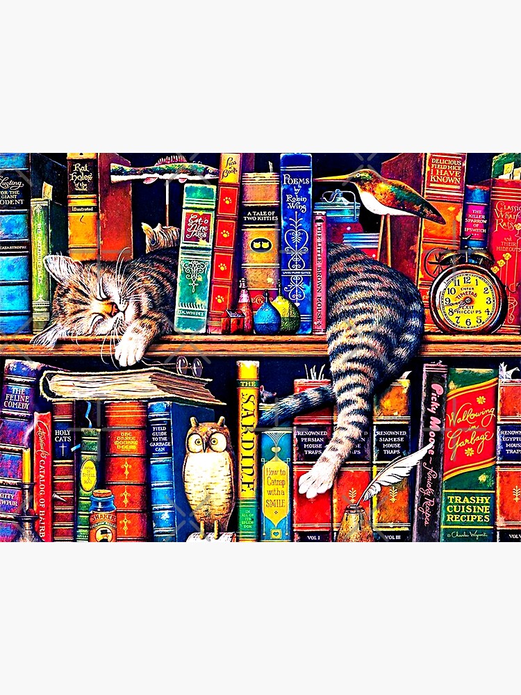 "Sleeping Cat Books, Bookshelf" Poster for Sale by famousartwork ...