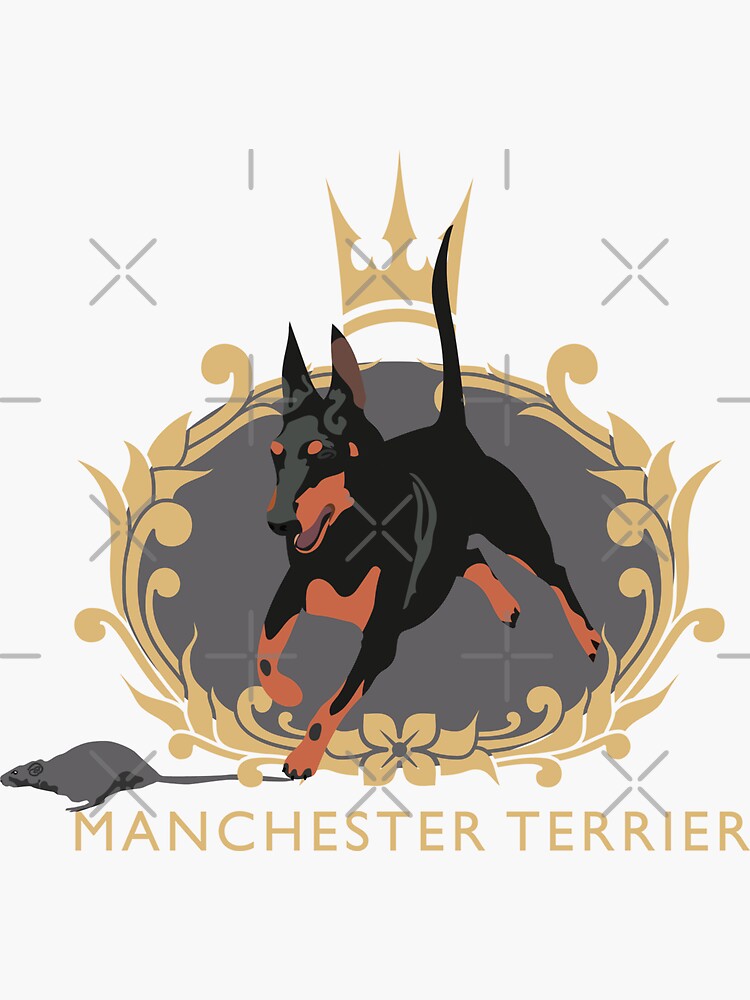 "Manchester Terrier Rat Design" Sticker by AlStaffordArt | Redbubble
