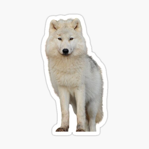 ""LONE WOLF "Sticker" Sticker for Sale by KOSELIGSUN | Redbubble