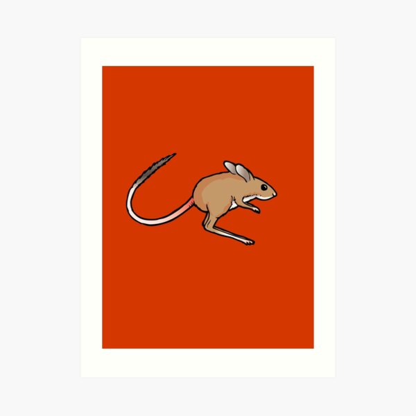 "Australian Spinifex hopping mouse graphic" Art Print for Sale by Sarah ...