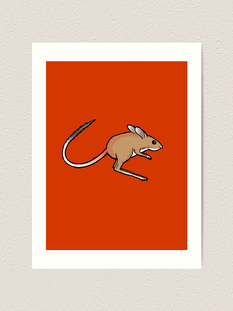 "Australian Spinifex hopping mouse graphic" Art Print for Sale by Sarah ...