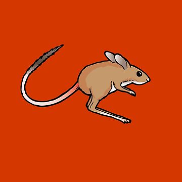 "Australian Spinifex hopping mouse graphic" Art Print for Sale by Sarah ...