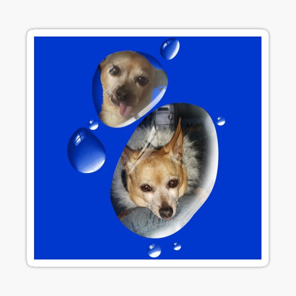 "Joey" Sticker by CountryRoads21 | Redbubble