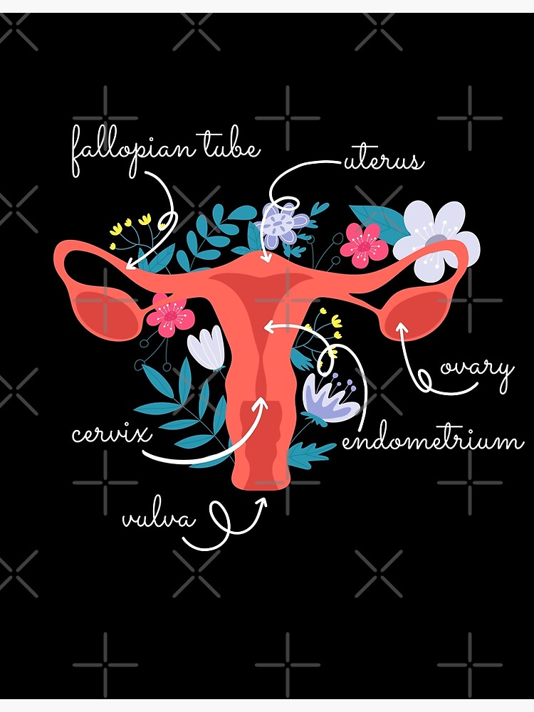 "Female Anatomy, Know Your Vagina" Poster for Sale by rosendosen ...