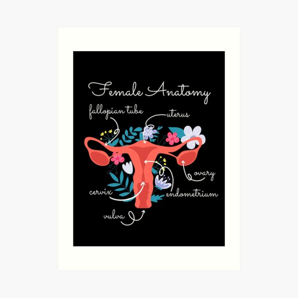 "Female Anatomy, Know Your Vagina" Art Print for Sale by rosendosen ...