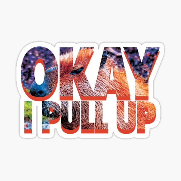 "Okay I Pull Up Capybara Meme" Sticker for Sale by zestyfiretruck ...