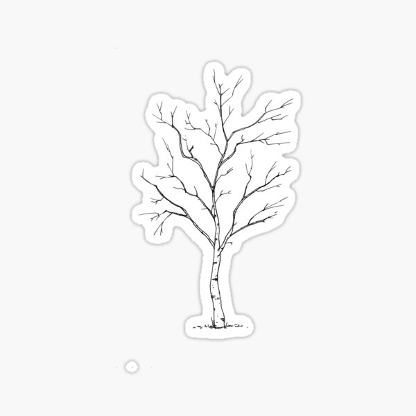 Birch Tree Stickers | Redbubble