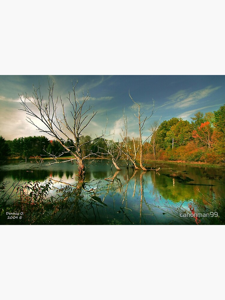 "" Wonderous " " Photographic Print for Sale by canonman99 | Redbubble