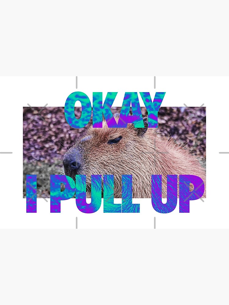 "Okay I Pull Up Capybara Meme" Art Print for Sale by zestyfiretruck | Redbubble