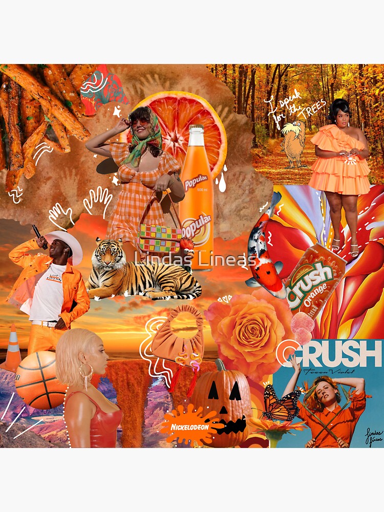 "Orange Photo Collage" Sticker for Sale by NataliaMadrinan | Redbubble