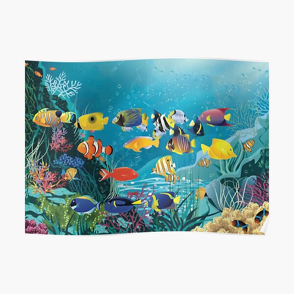 "Colorful Freshwater Fish Aquarium" Poster for Sale by 1937wydad ...