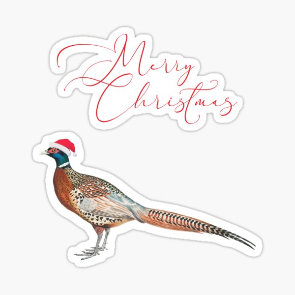 "Copy of Merry Christmas - Christmas pheasant with big red bow" Sticker ...