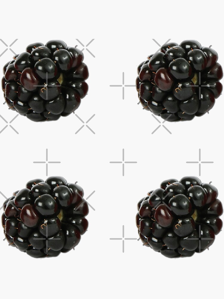 "Blackberry" Sticker for Sale by TheMikis | Redbubble