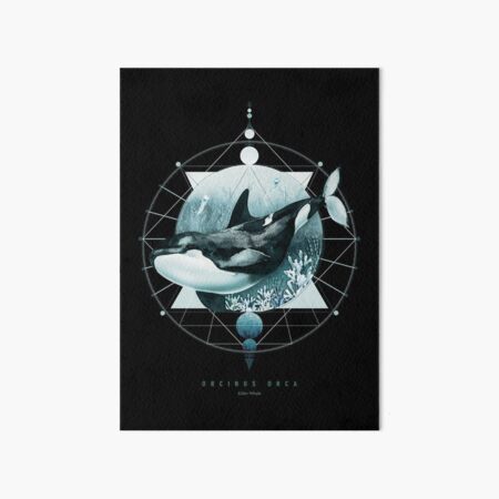 "Orca and Geometry" Art Board Print by 1024bytesdesign | Redbubble