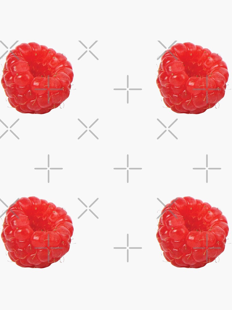 "Raspberry" Sticker for Sale by TheMikis | Redbubble