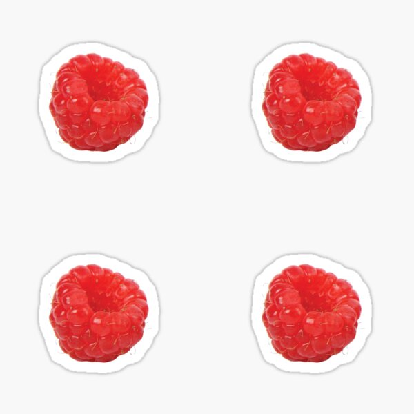 "Raspberry" Sticker for Sale by TheMikis | Redbubble
