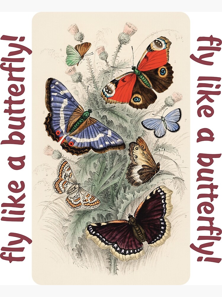 " fly like a butterfly" Poster for Sale by ABVMerch | Redbubble