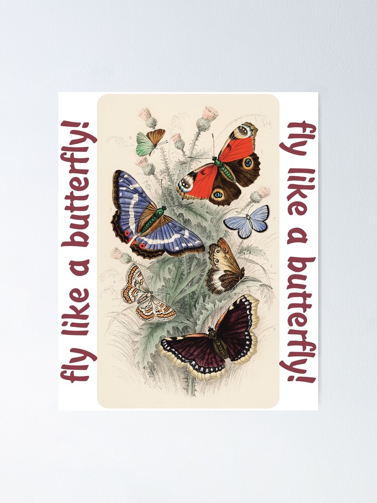 " fly like a butterfly" Poster for Sale by ABVMerch | Redbubble