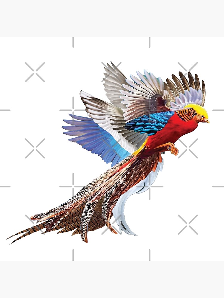 "Phoenix collage" Poster for Sale by vegancheeyse | Redbubble
