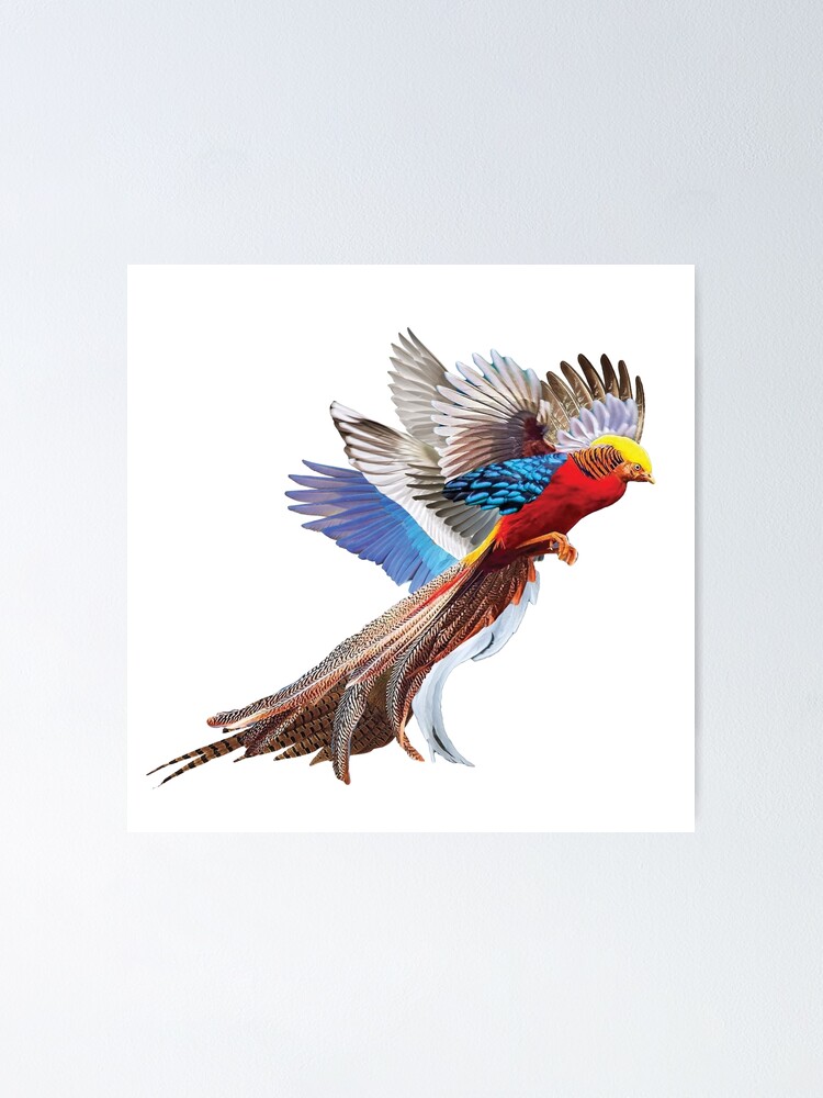 "Phoenix collage" Poster for Sale by vegancheeyse | Redbubble