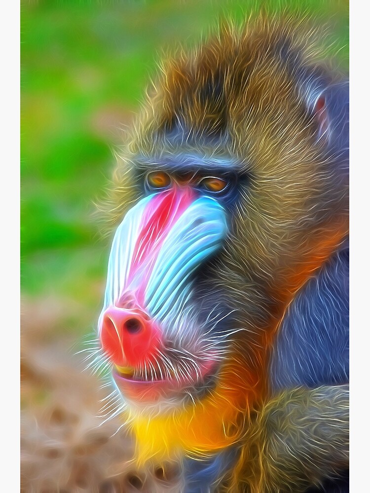 "Colourful Mandrill digital Art style portrait" Poster for Sale by ...