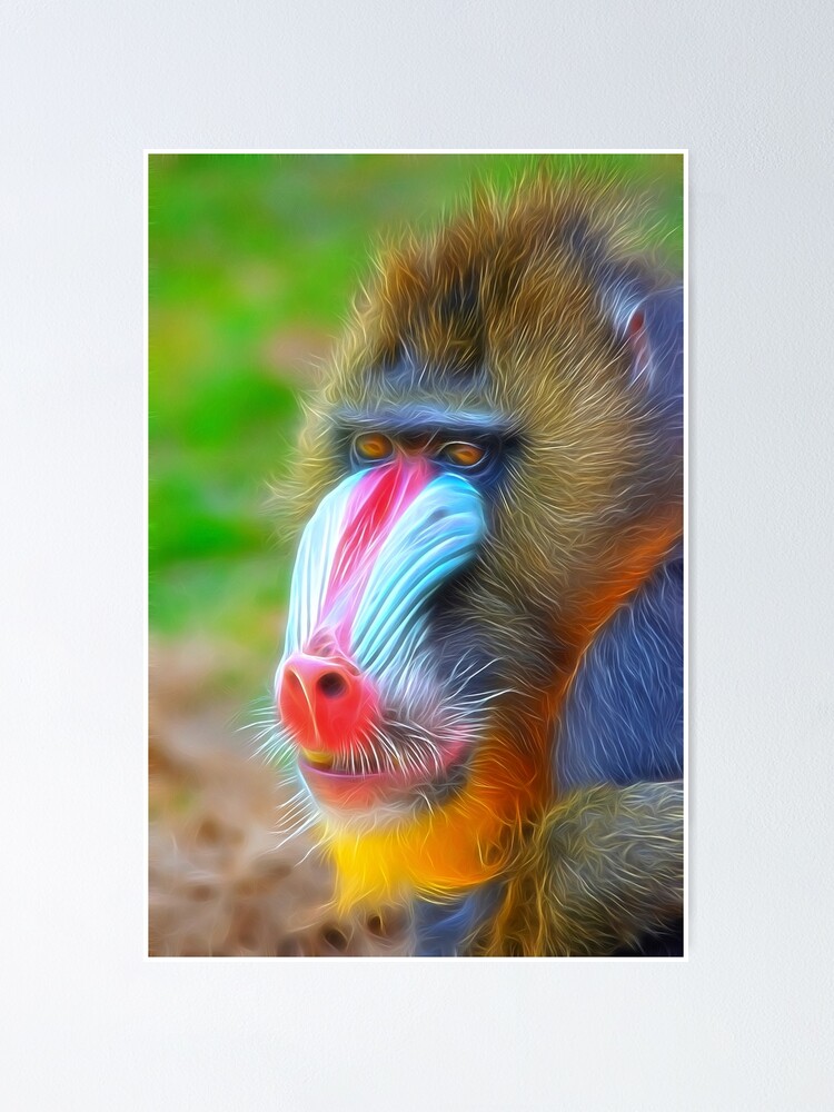"Colourful Mandrill digital Art style portrait" Poster for Sale by ...