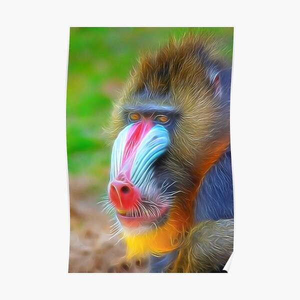 "Colourful Mandrill digital Art style portrait" Poster for Sale by ...
